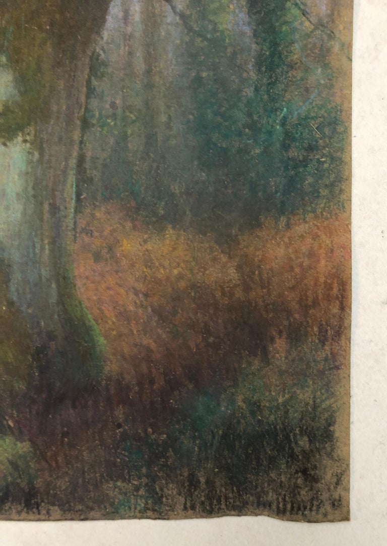 Unknown - Tree in the undergrowth, Barbizon School, Pastel For Sale at ...