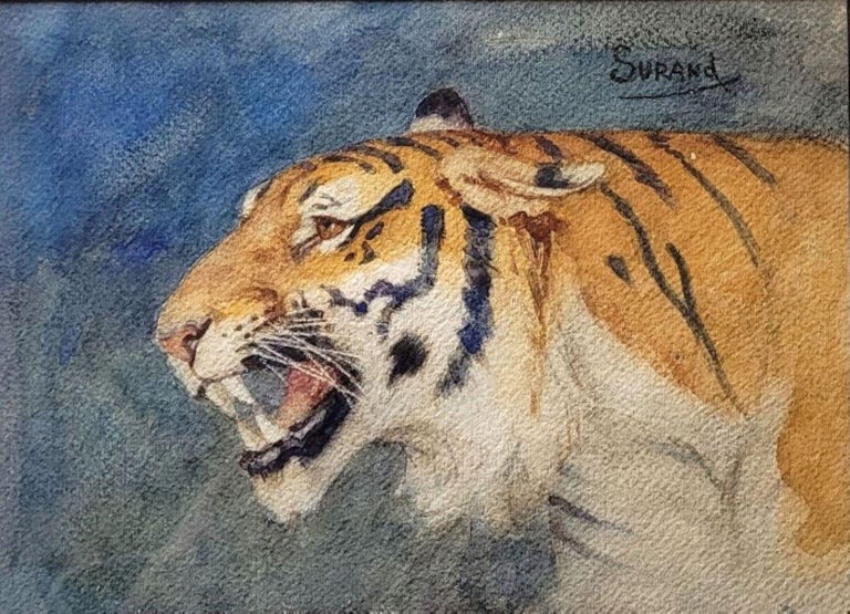 Gustave Surand - Tigre rugissant For Sale at 1stDibs