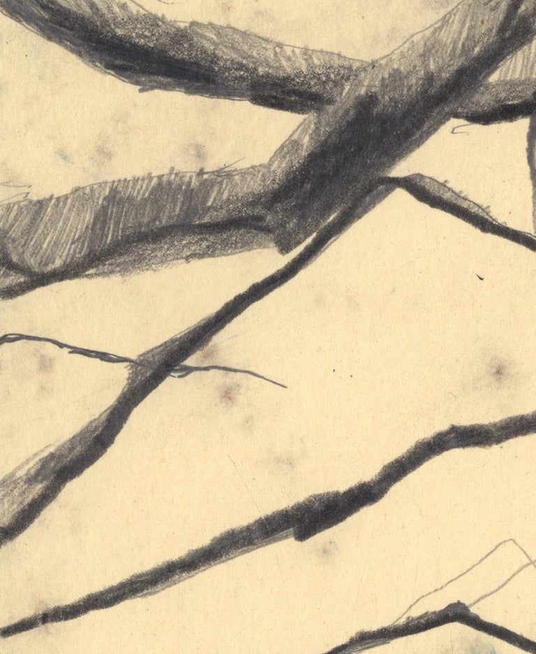 Eva Sozap - Sweet Tree 2 - Botanical Still Life Drawing by Eva Sozap ...