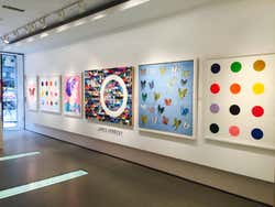 DTR Modern Galleries - Boston, MA 02116 - 1stDibs