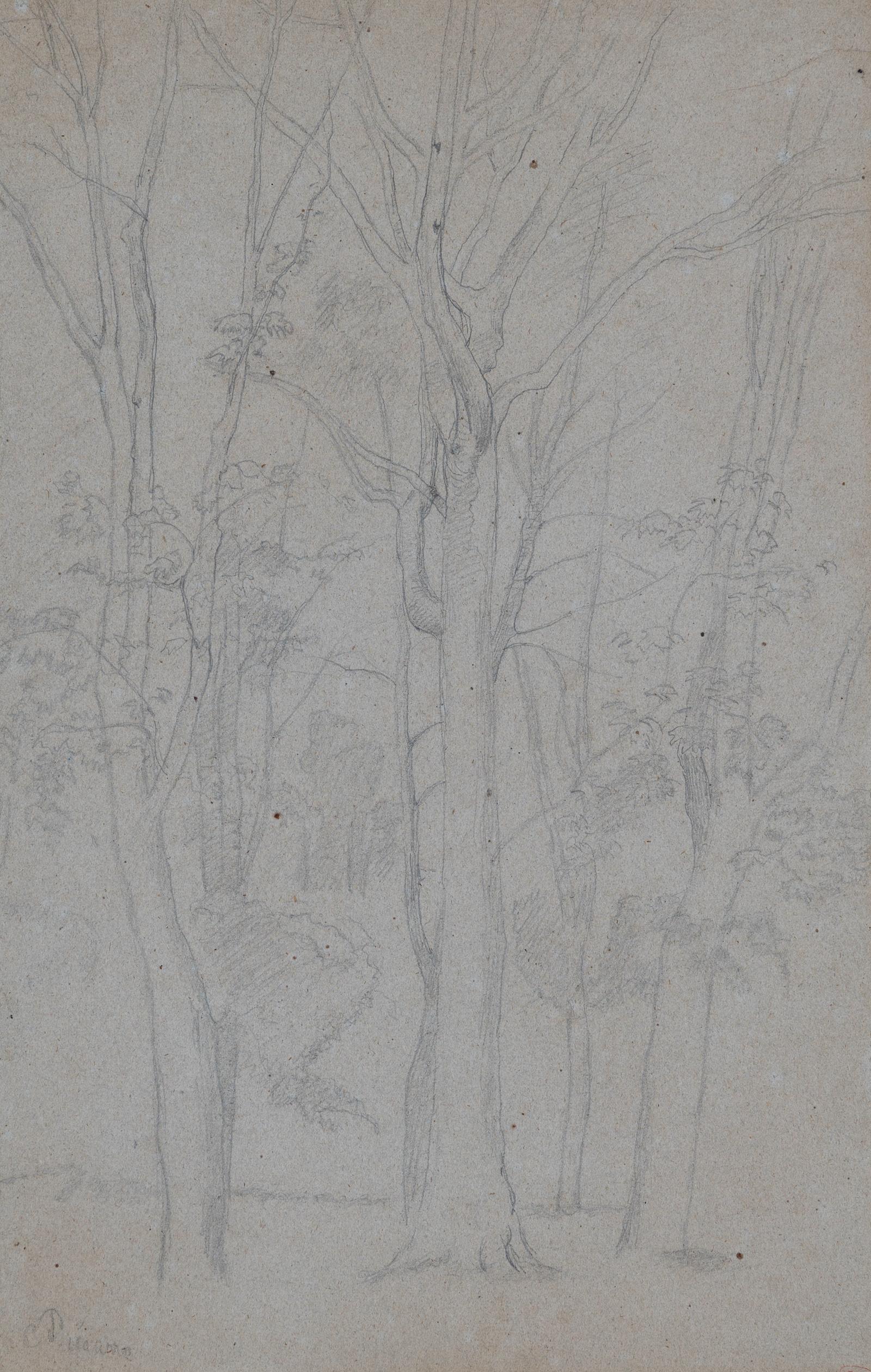 Camille Pissarro - Arbres by Camille Pissarro - Pencil on paper For ...