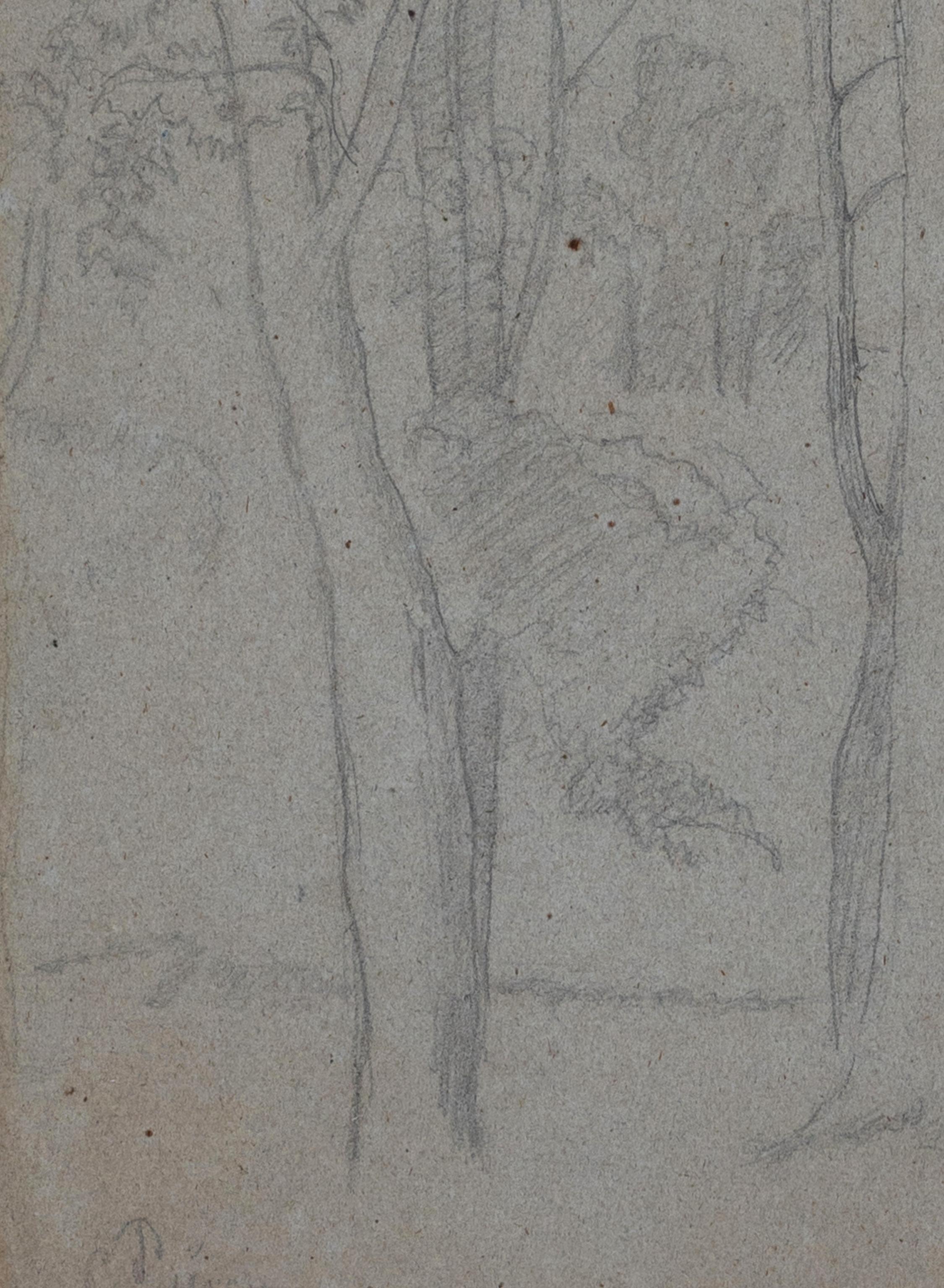 Camille Pissarro - Arbres by Camille Pissarro - Pencil on paper For ...