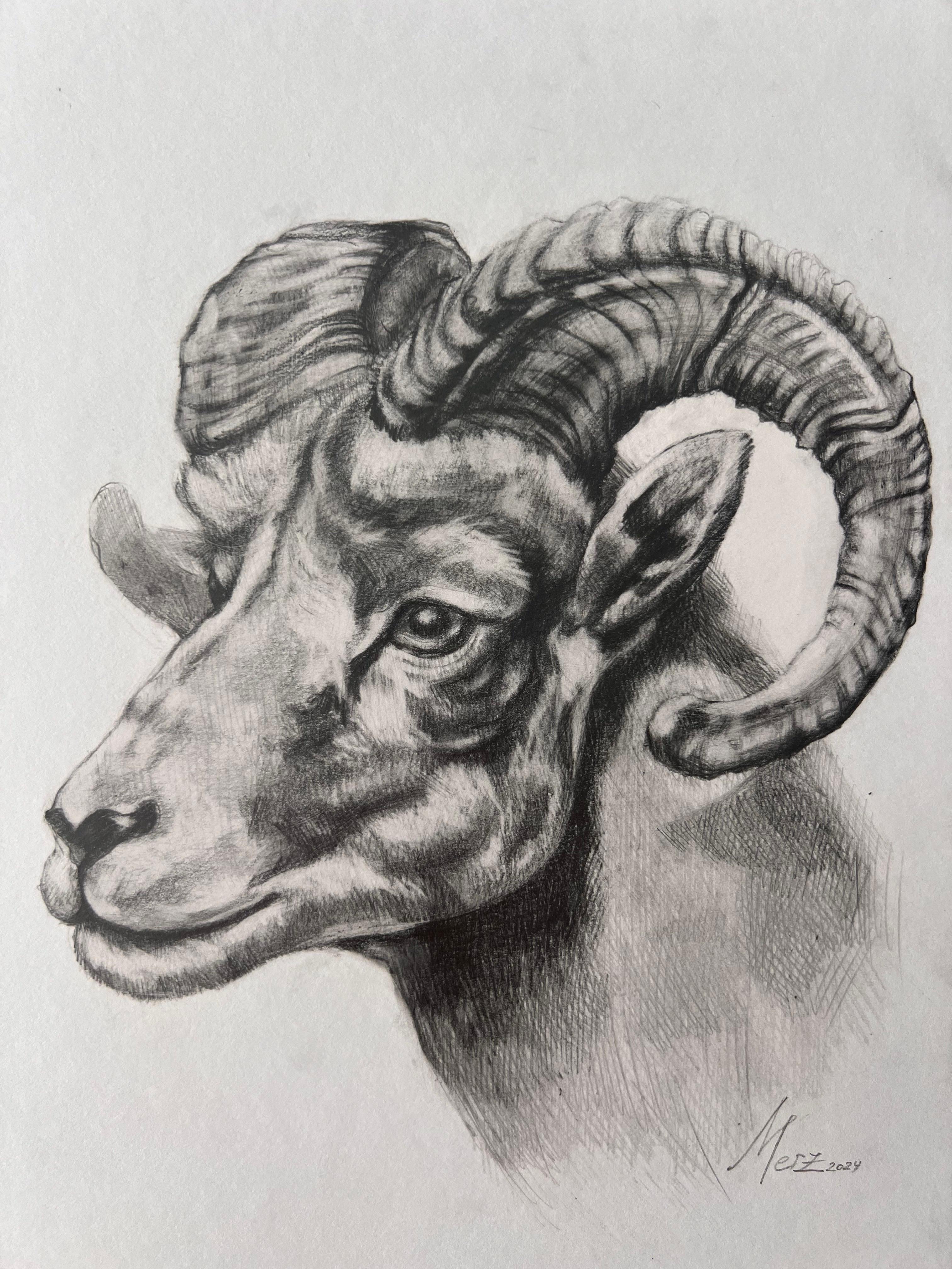 Old Masters Drawings and Watercolor Paintings - 249 For Sale at 1stDibs ...