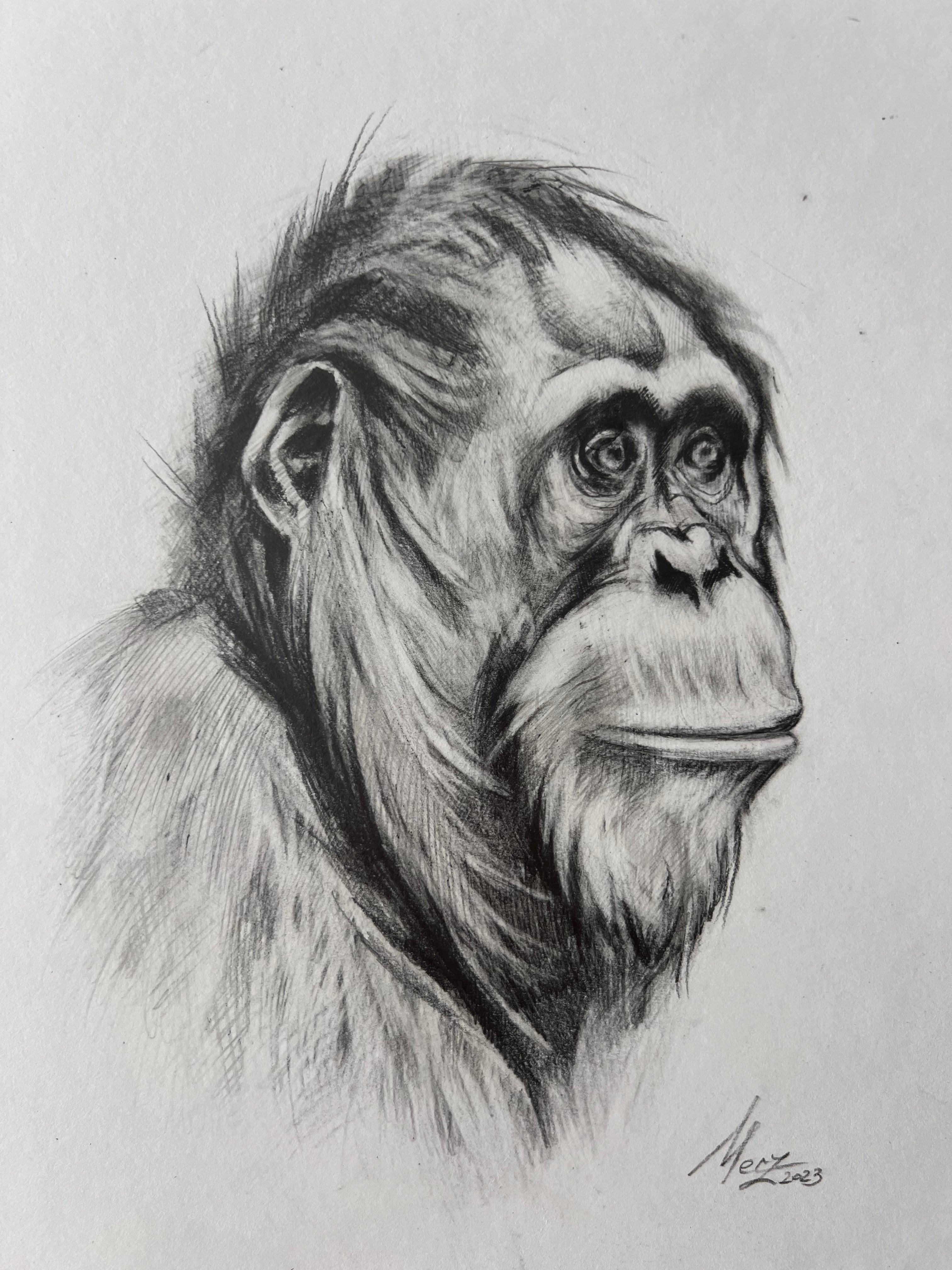 Old Masters Drawings and Watercolor Paintings - 249 For Sale at 1stDibs ...