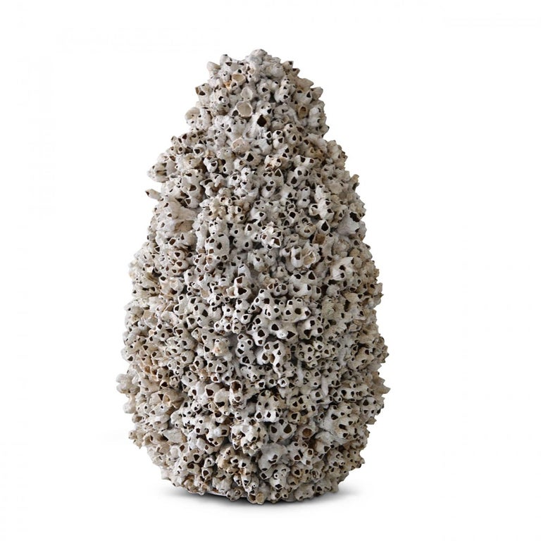 Unknown - Barnacle Vase at 1stDibs