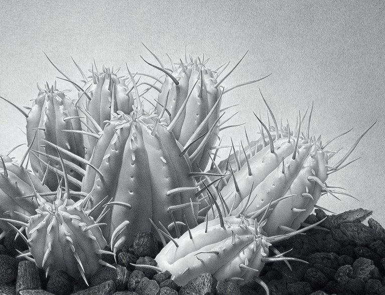 Eric Wert - GIANT, black and white, hyper-realism, monochrome, cactus ...
