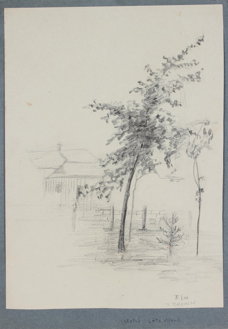 Unknown - "Elm" 20th Century Graphite For Sale at 1stDibs