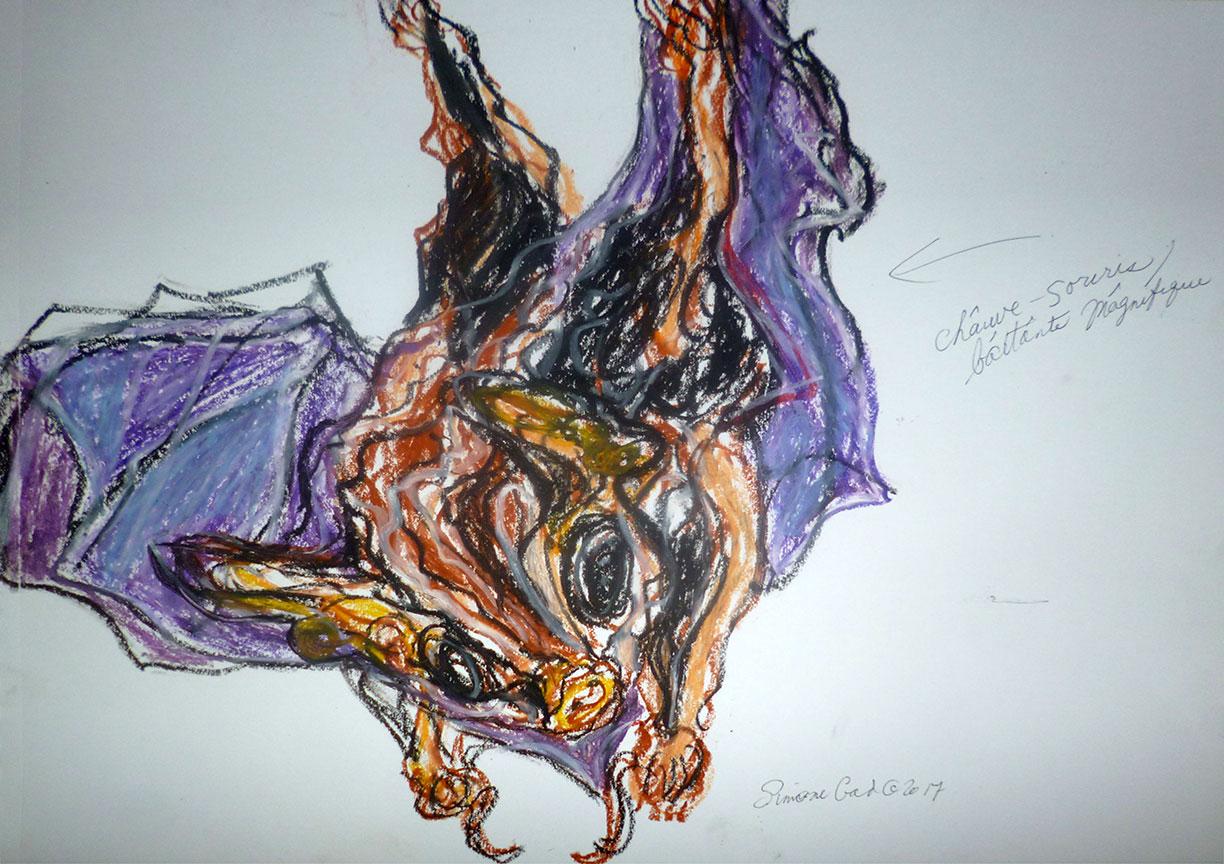 Simone Gad - Battante Magnifique (from Wild Animals) For Sale at 1stDibs