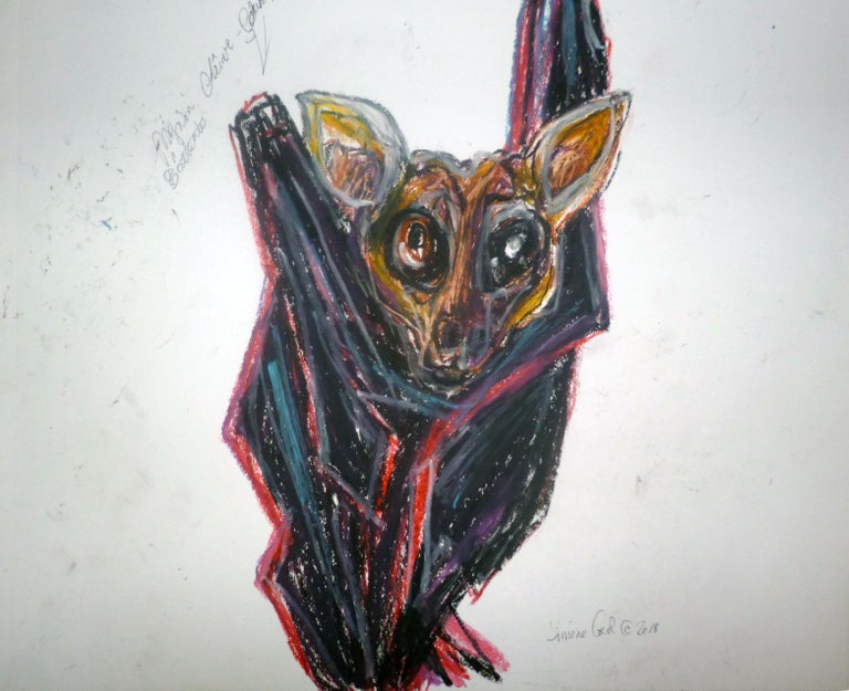 Simone Gad - Chauve Souris Nor Et Rouge (from Wild Animals) For Sale at ...