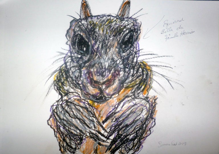 Simone Gad - Esquirelle Bella Du Famille Harrison (from Wild Animals ...