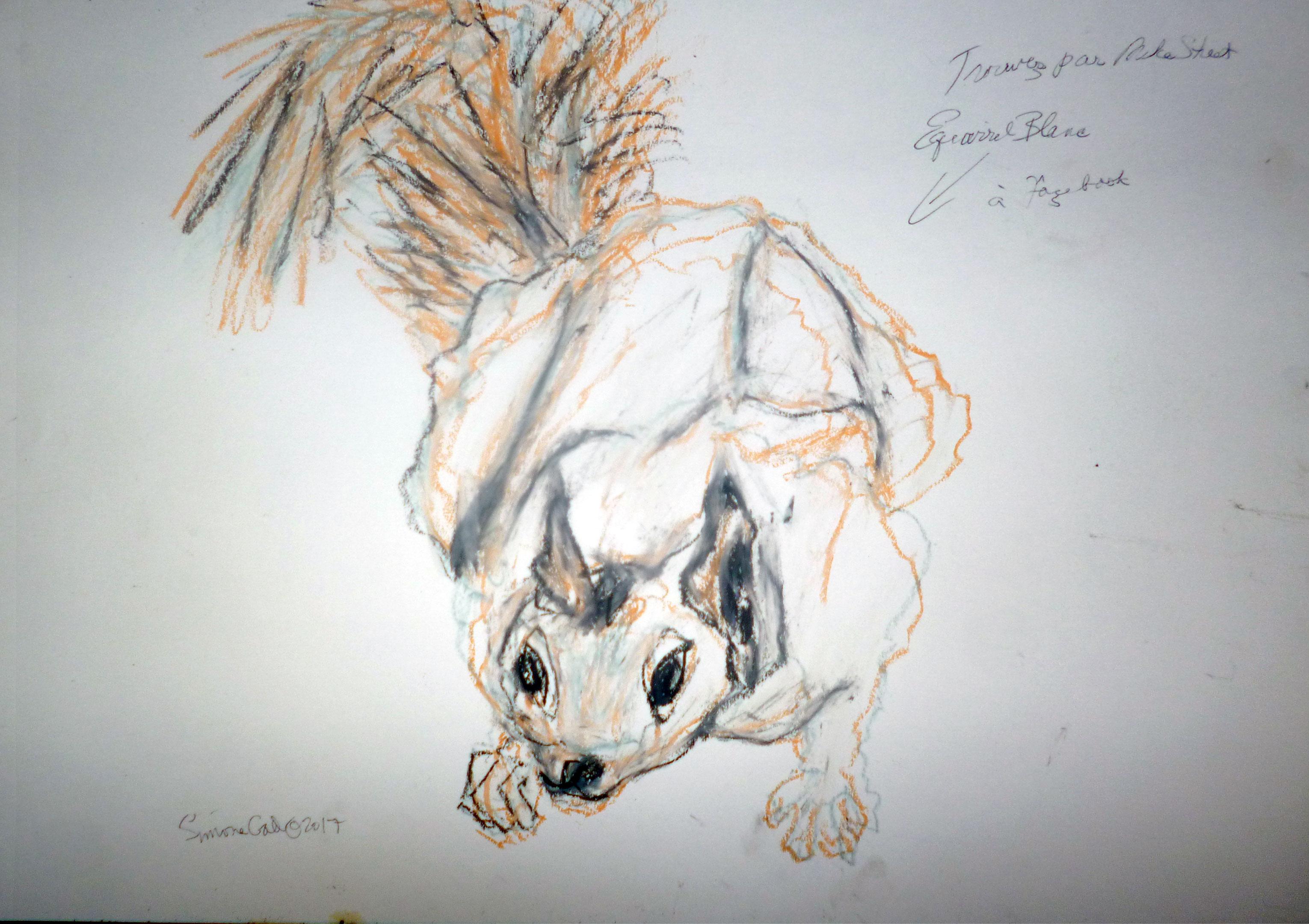 Simone Gad - Esquirelle Blanc (from Wild Animals) For Sale at 1stDibs