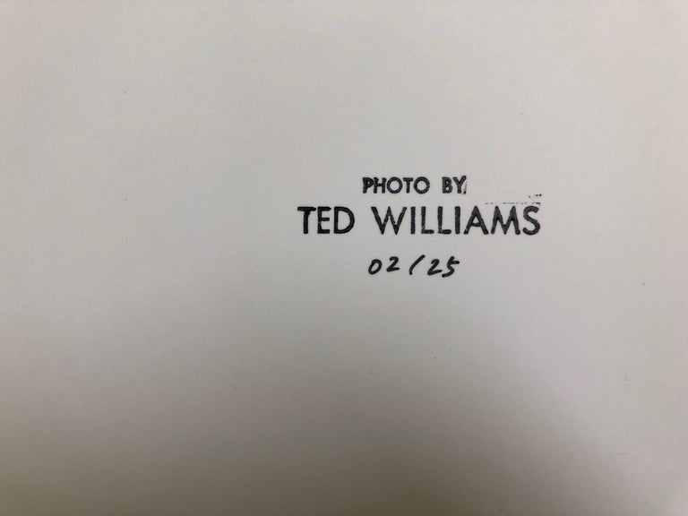 Ted Williams - Dr. Martin Luther King Jr. For Sale at 1stDibs