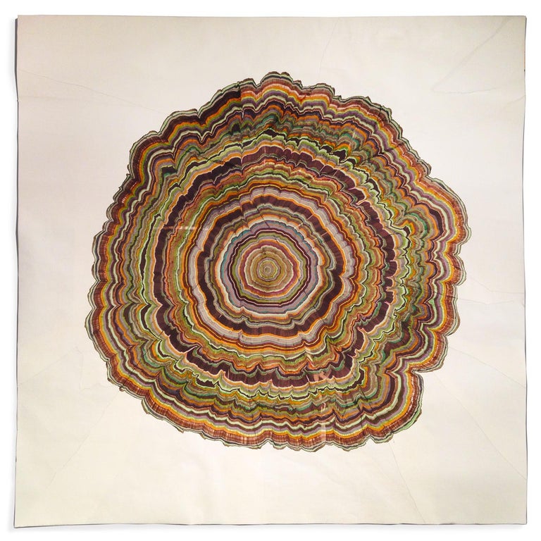 Steven L. Anderson - 162 Years (Tree Rings Series) For Sale at 1stDibs