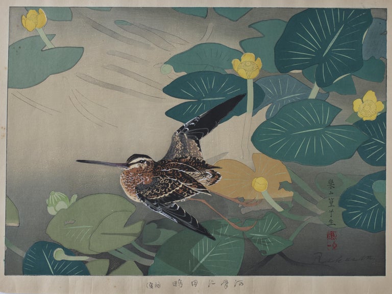 Tsuchiya Rakusan - Sandpiper and Yellow Lotus Flower at 1stDibs