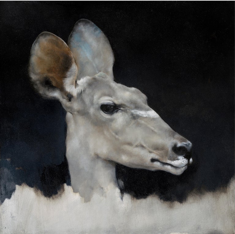 Justin Coburn - Antelope Head Study For Sale at 1stDibs