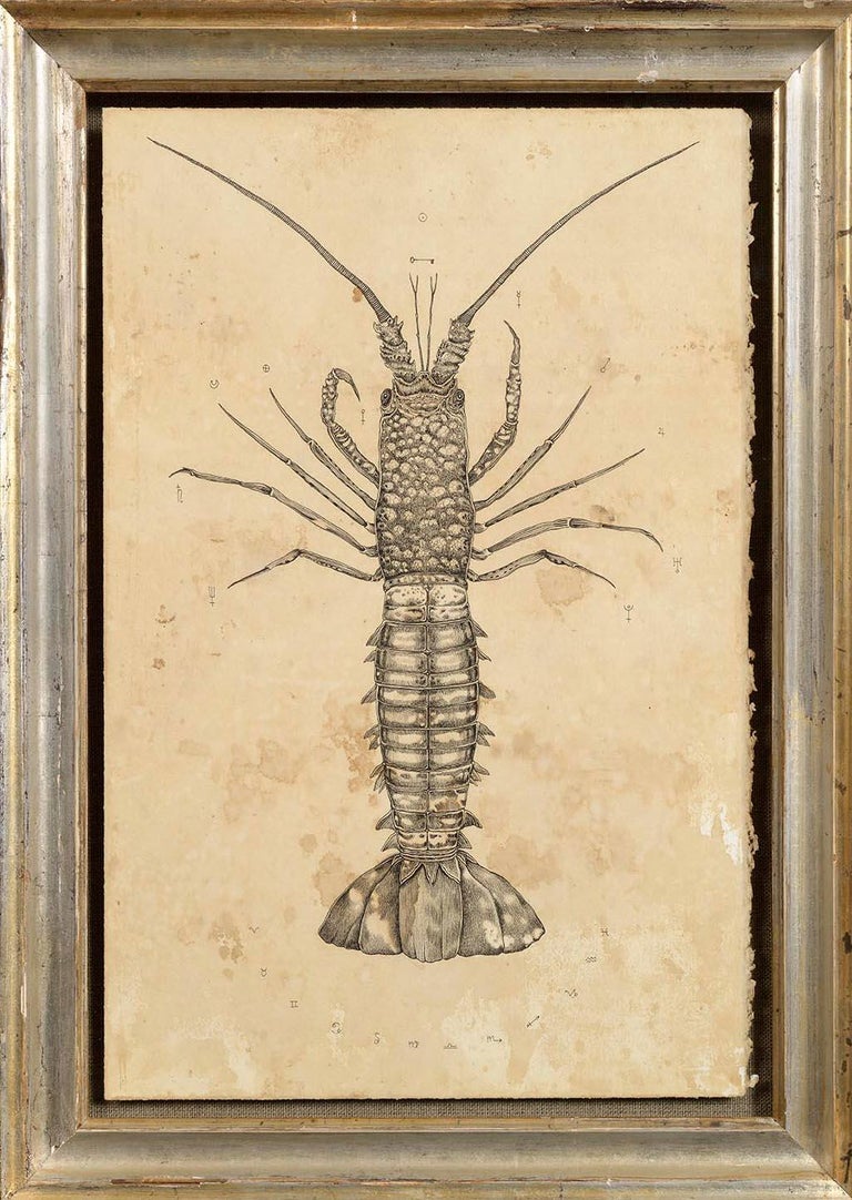 Andrea Collesano - Immersionem For Sale at 1stDibs