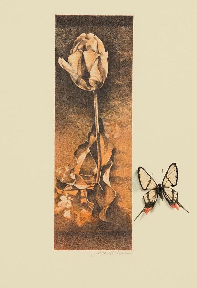 Susan Manchester - Garden Views #3, Tulip with Butterfly For Sale at ...