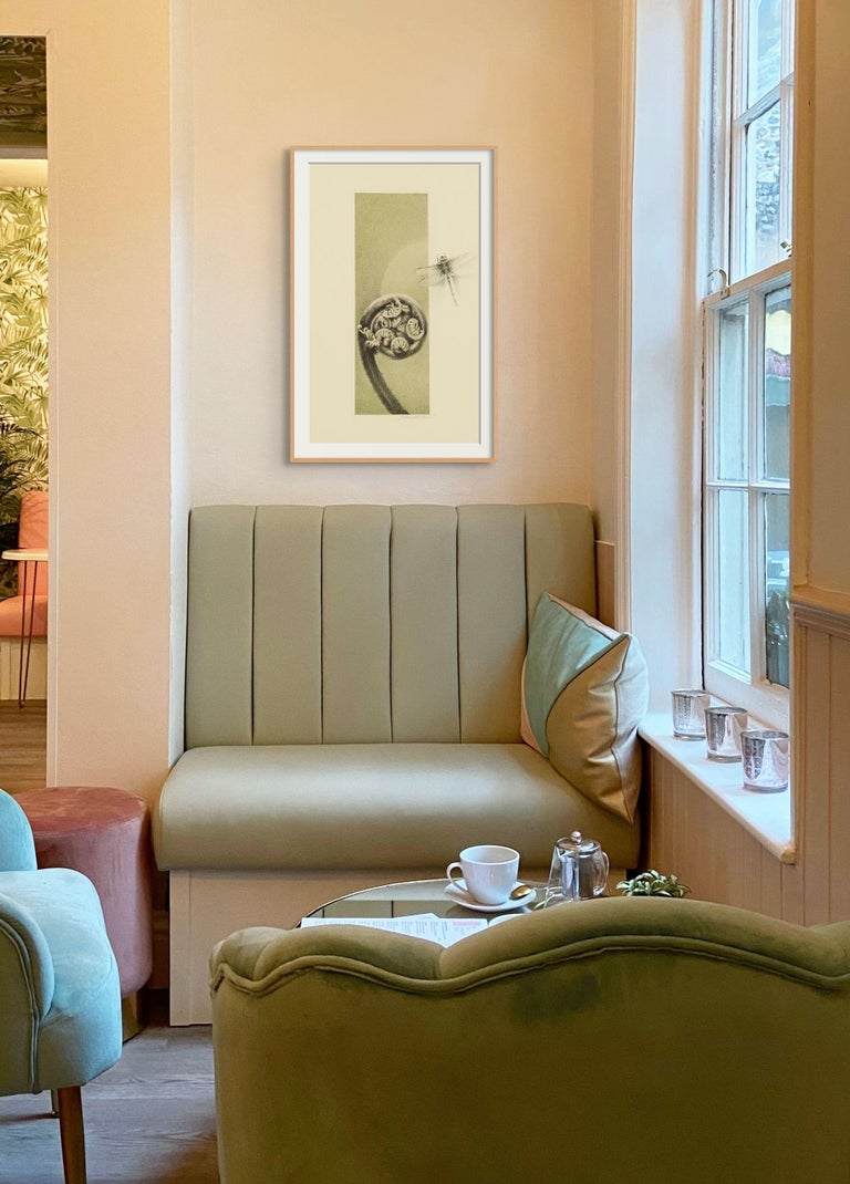 Susan Manchester - Garden Views #4, Fiddlehead Fern with Dragonfly For ...