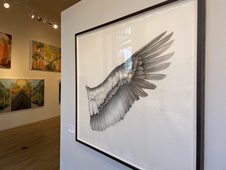 Susan Manchester - California Condor Feather: Left Wing For Sale at 1stDibs