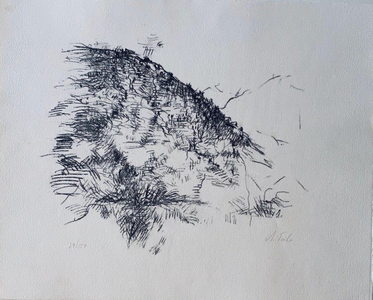 Anna Ticho - German Israeli Expressionist Abstract Lithograph Of Judeah ...