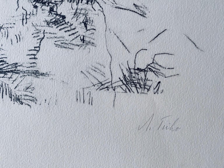 Anna Ticho - German Israeli Expressionist Abstract Lithograph Of Judeah ...