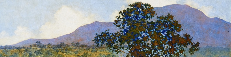 The Illustrated Gallery - 1stDibs