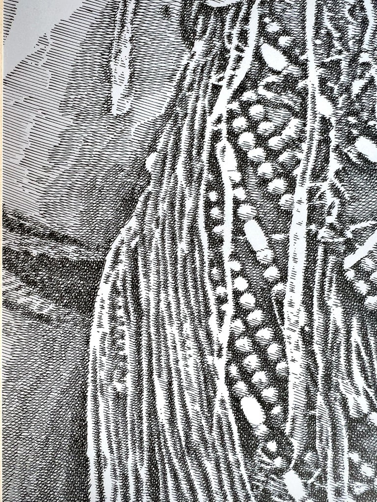Murray Tinkelman - Native American Indian Portrait in Pen and Ink For ...