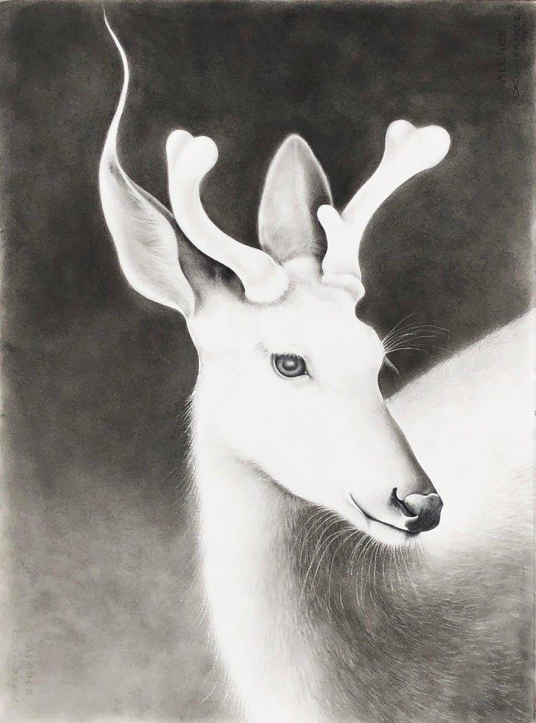 Amy Ross - Buck For Sale at 1stDibs