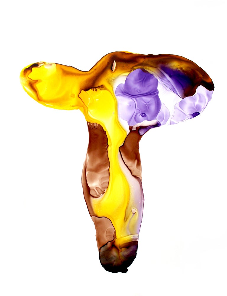 Amy Ross - Apparition 2 For Sale at 1stDibs