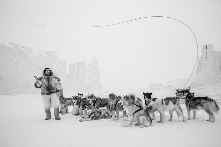 Cristina Mittermeier - The Musher For Sale at 1stDibs