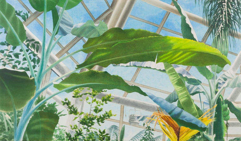 Ben Norris - Brooklyn Botanical Garden No. 2: Greenhouse II For Sale at ...
