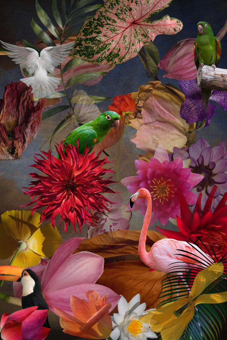 Patrick Chelli - Flore For Sale at 1stDibs