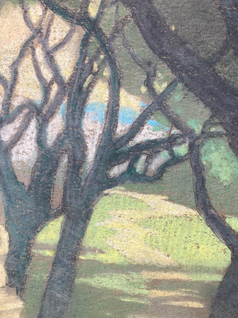 Pedro J. Lemos - TREES WITH SUNLIT and SHADOWED PATH For Sale at 1stDibs