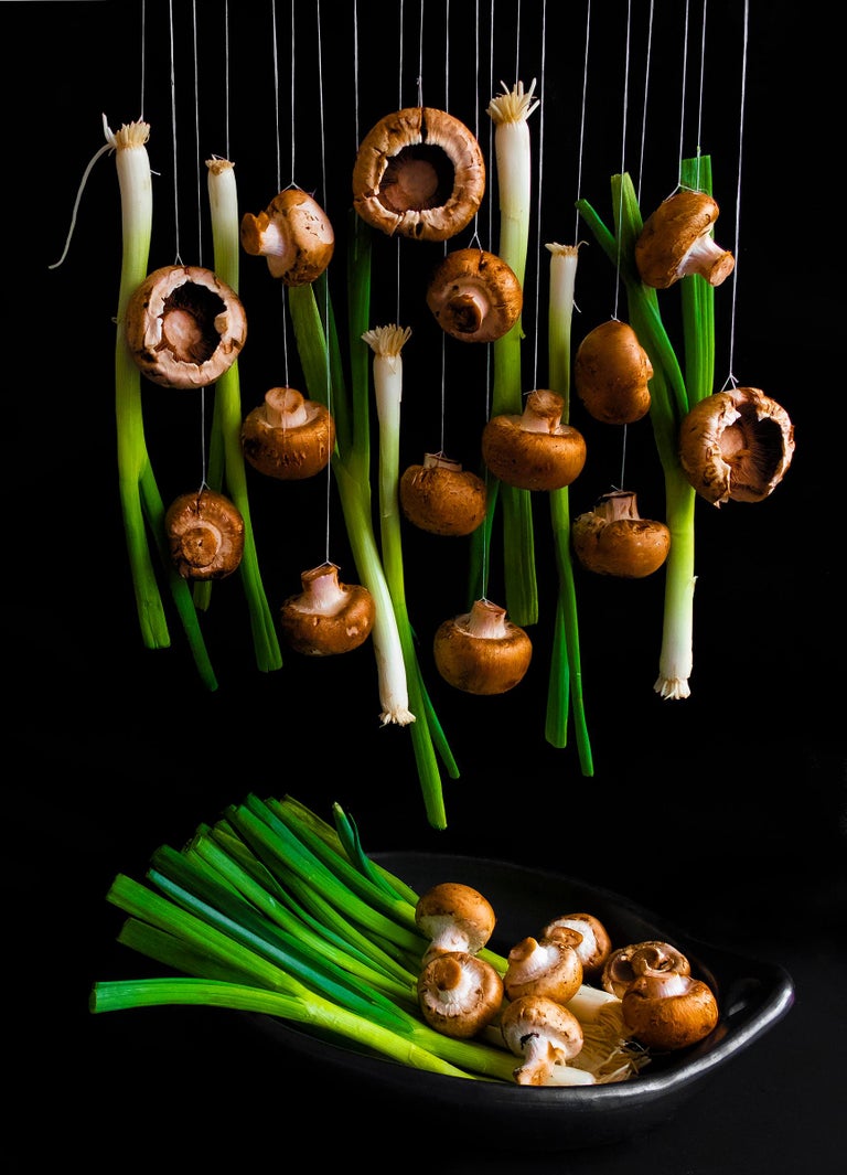 Sarah Phillips - Baby Bella and Scallion Set-Up, brown and green ...