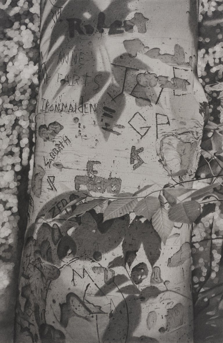 Mary Reilly - Graffiti Tree 5, photorealist graphite landscape drawing ...