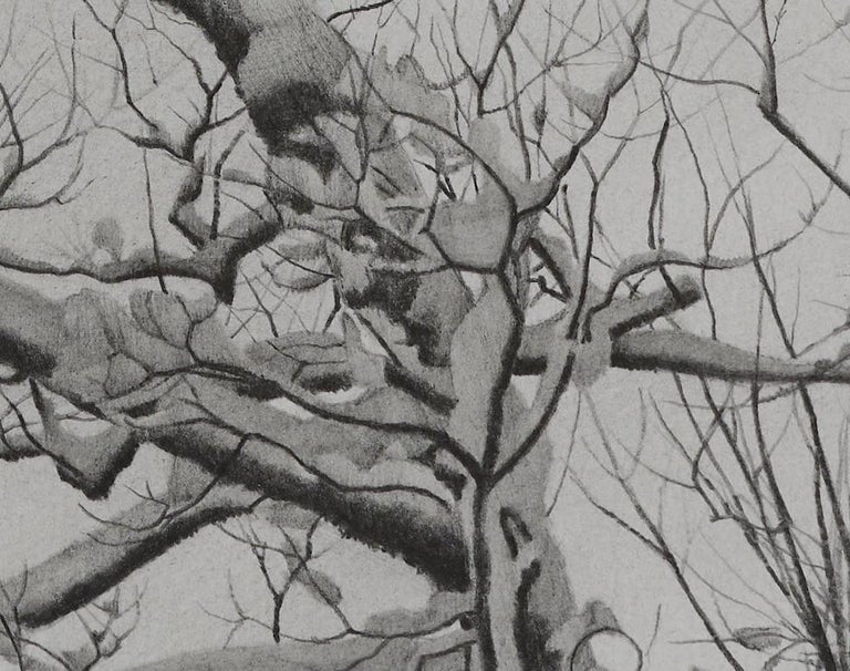 Mary Reilly - Wintry Trees 5, photorealist graphite landscape drawing ...