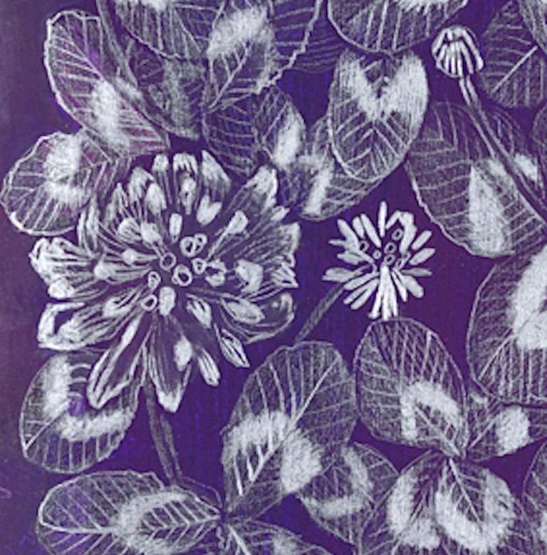 Margot Glass - Clover (purple), patterned floral still life drawing at ...