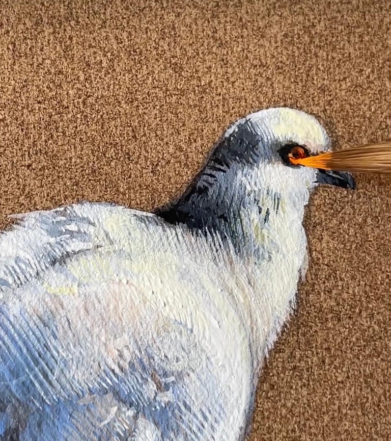 Dina Brodsky - Dina Brodsky, Pigeon 1, Miniature ink, gouache, and ...