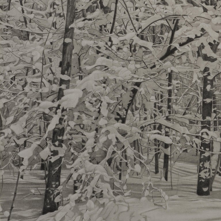 Mary Reilly - Snowy Woods, photorealist graphite landscape drawing ...