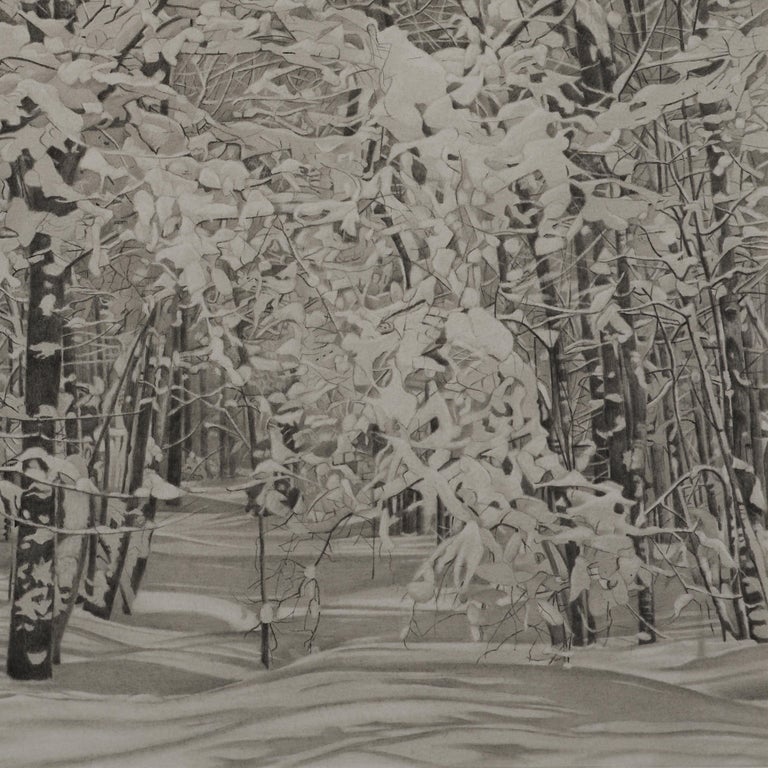 Mary Reilly - Snowy Woods, photorealist graphite landscape drawing ...