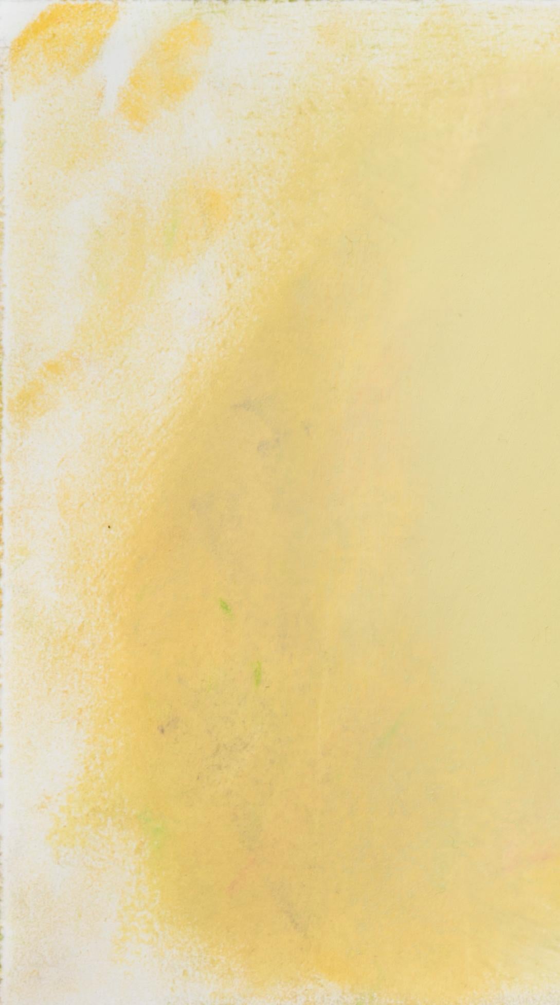 Daisy Craddock - Daisy Craddock, Cantaloupe Study (Flesh), Abstract oil ...