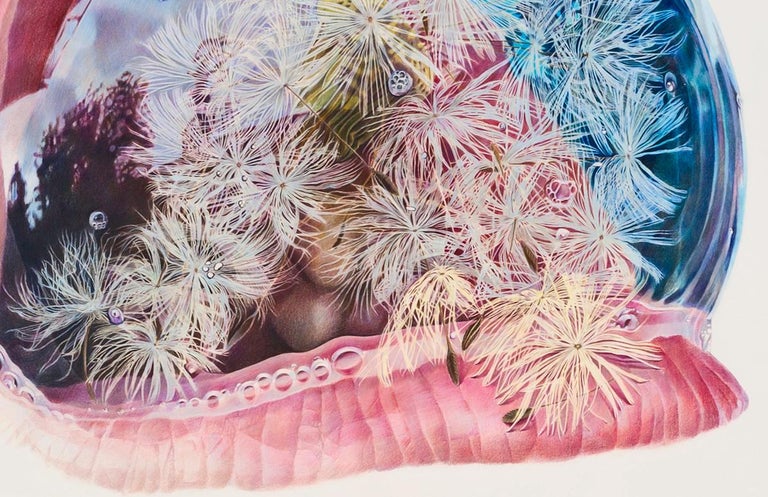 Julia Randall - Dandelion, Photorealist colored pencil drawing For Sale ...