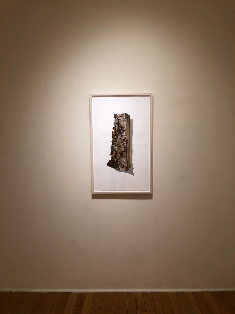 David Morrison - David Morrison, Firewood Series No. 1, Hyperrealist ...