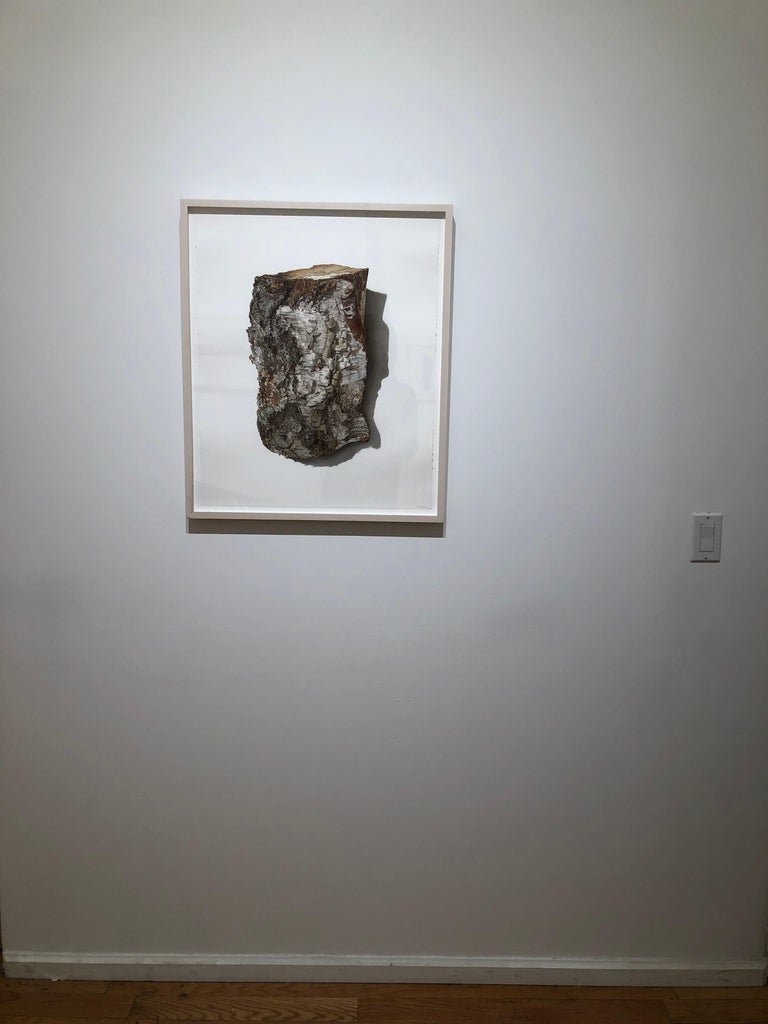 David Morrison - David Morrison, Firewood Series No. 2, hyperrealist ...