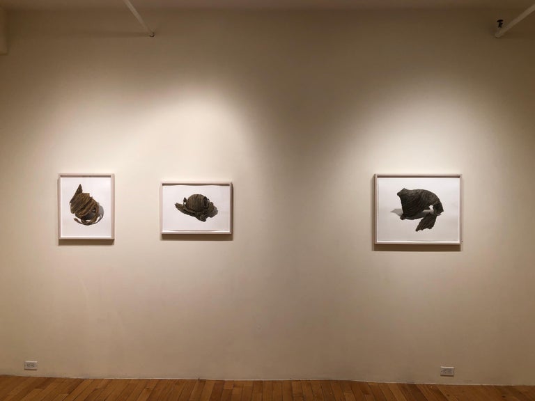 David Morrison - David Morrison, Paper Wasp Series No. 2, hyperrealist ...