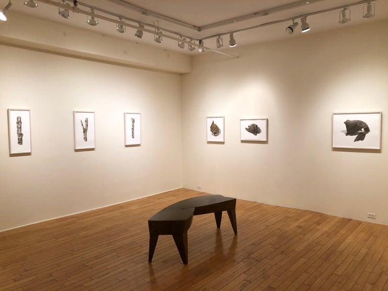 David Morrison - David Morrison, Paper Wasp Series No. 2, hyperrealist ...