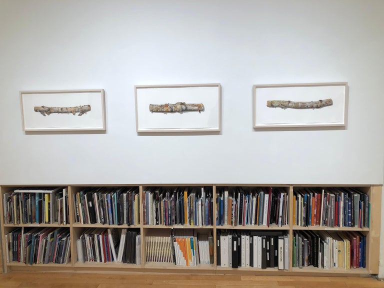 David Morrison - David Morrison, Firewood Series No. 8, hyperrealist ...