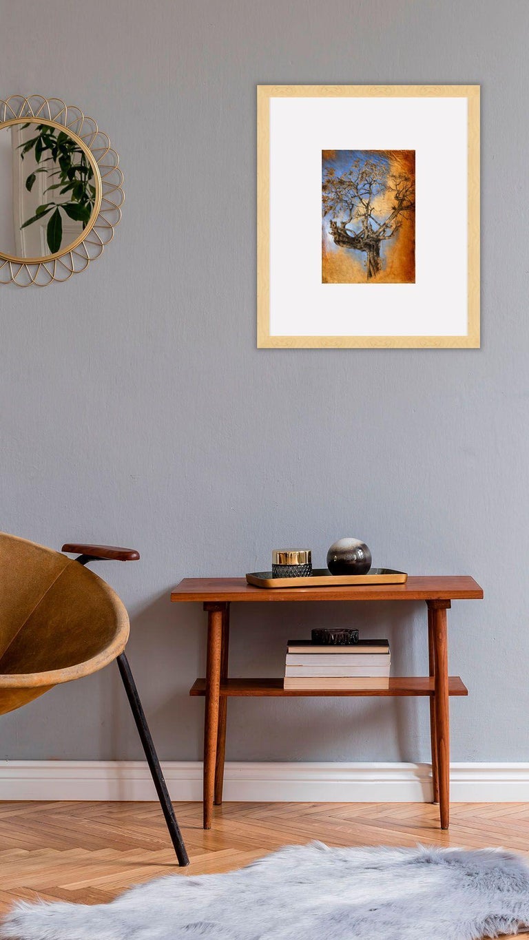 Dina Brodsky - Tree #55, contemporary realist ballpoint pen and gouache ...