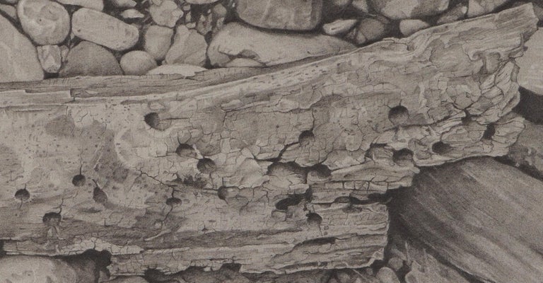 Mary Reilly - Riverbank 2, photorealist graphite nature drawing, 2018 ...