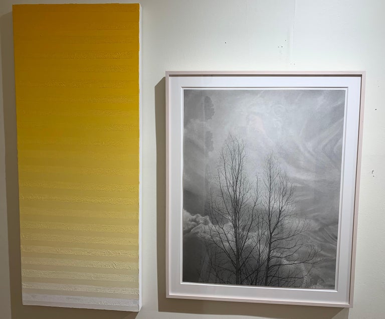 Mary Reilly - Bare Trees, gray photorealist graphite landscape drawing ...